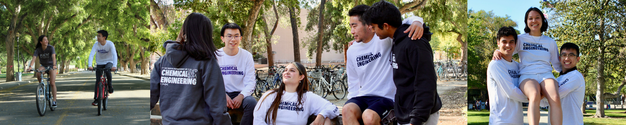 Merchandise | American Institute of Chemical Engineers (AIChE)